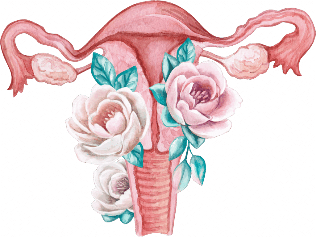 Start Here Energy Healing And Somatic Support For Women Kasia Rachfall